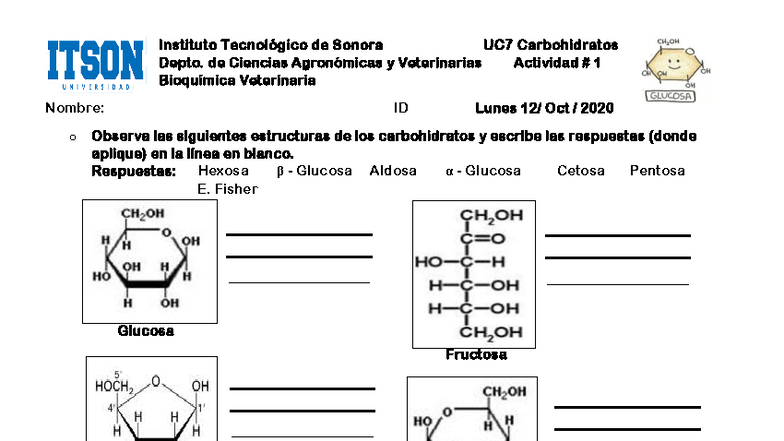 Actv. 1 Carbohidratos - Material de repaso - Instituto Tecnológico de ...