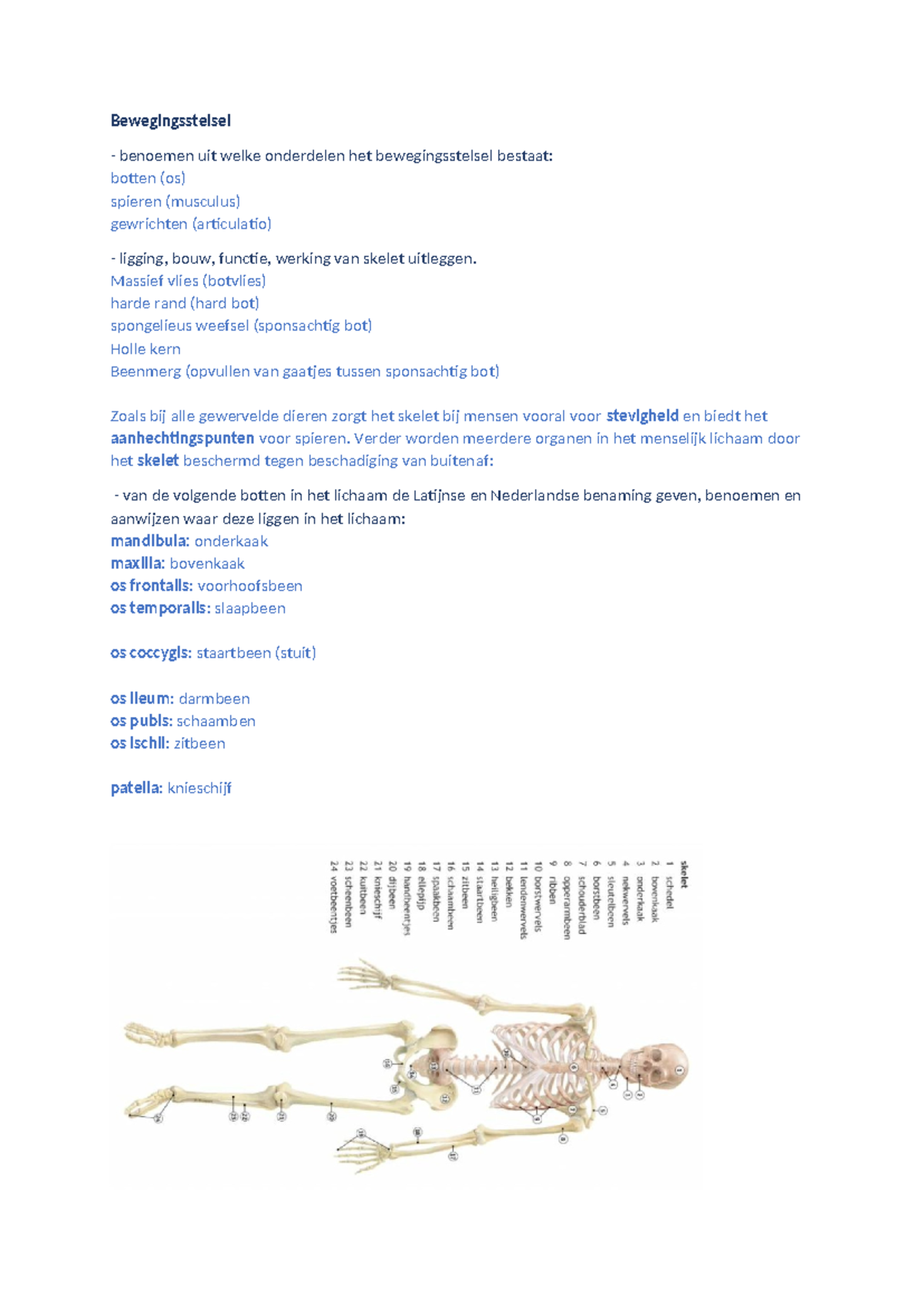 2. Bewegingsstelsel - Anatomie en Functies van Botten en Spieren ...