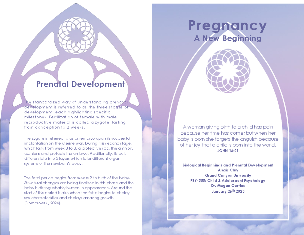 PSY-355 Biological Beginnings Prenatal Development - Prenatal ...
