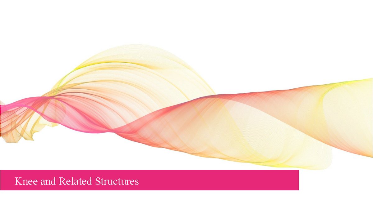 SPX 211 Overview of Knee Anatomy and Common Injuries - Studocu