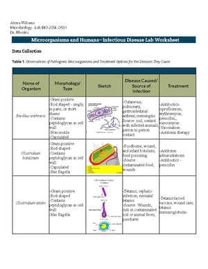 [Solved] Search through news articles or reports within the past 5 ...