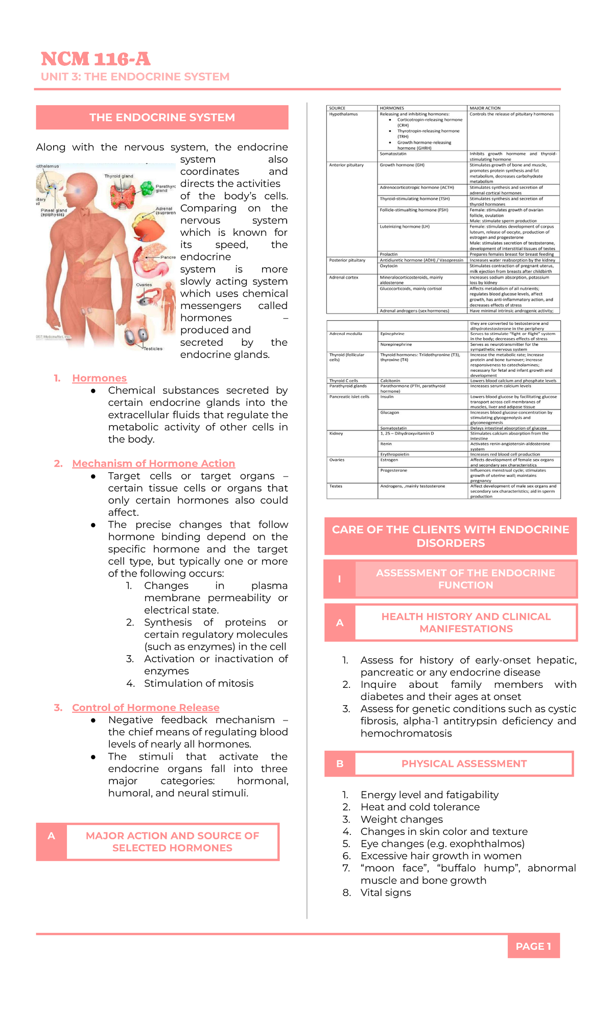 Unit 3 Endocrine System (Final) transes - NCM 116-A UNIT 3: THE ENDOCRINE SYSTEM THE ENDOCRINE ...