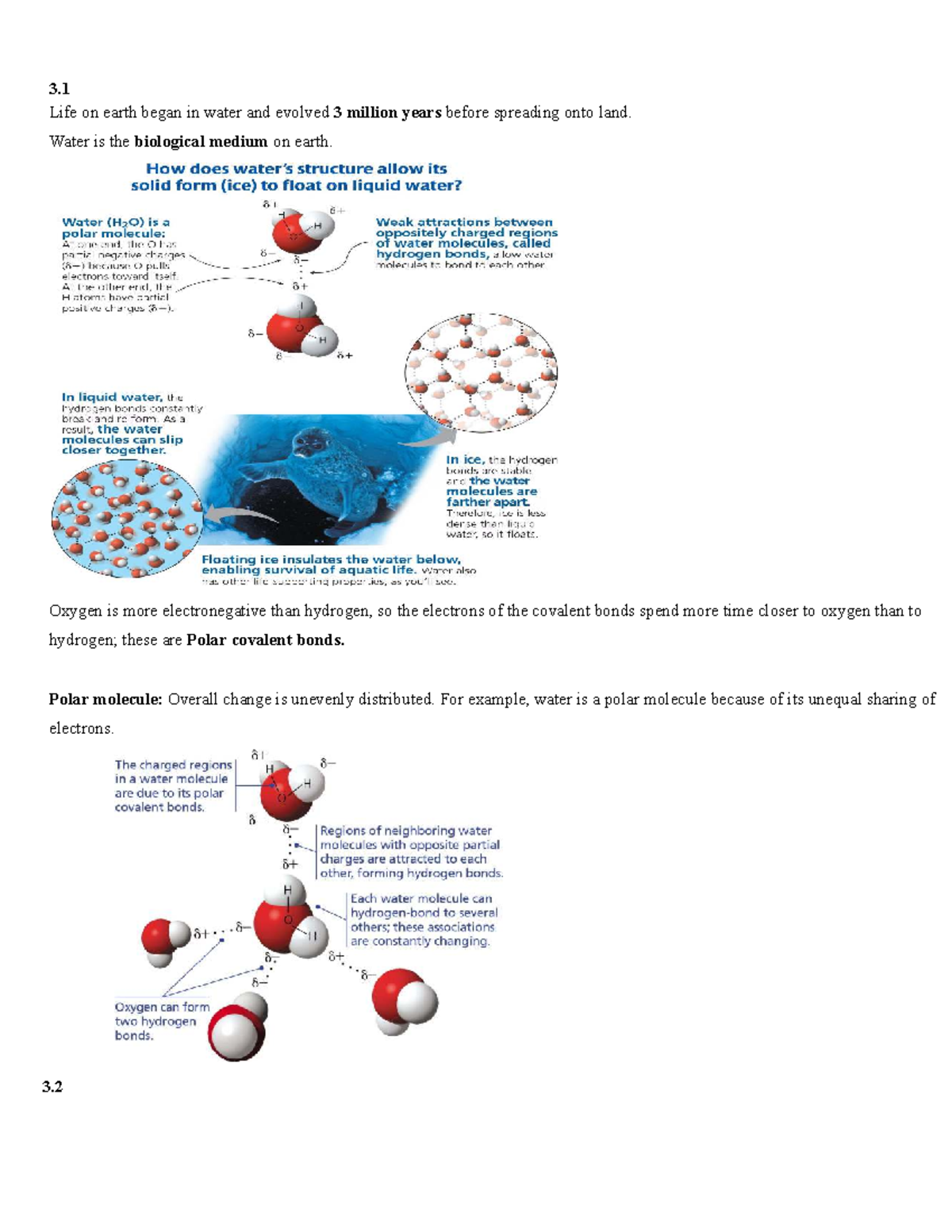 Biology 2: Chapter 3 - Water's Properties and Biological Significance ...