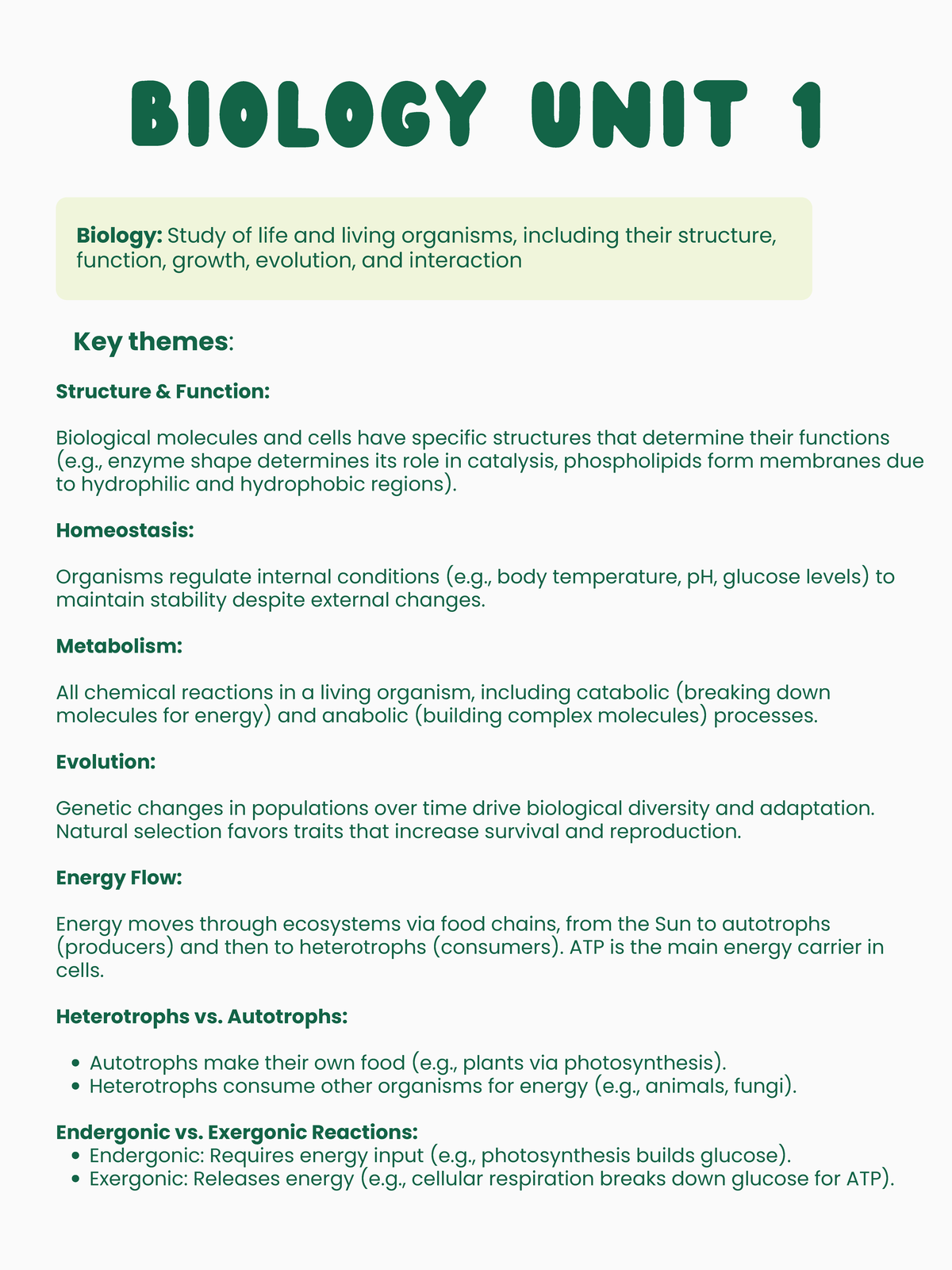 Biochemistry study sheet unit 1 - Biology Unit 1 Biology: Study of life ...