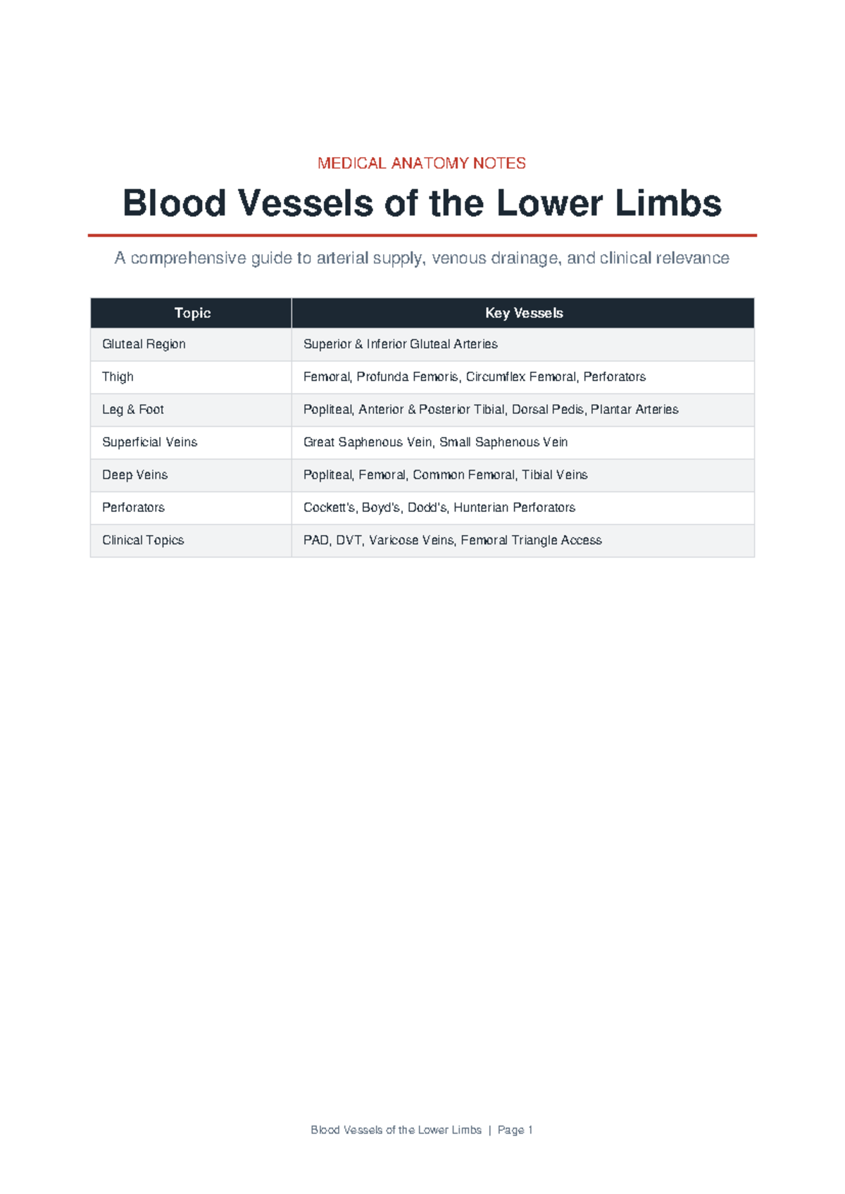 MEDICAL ANATOMY NOTES: Blood Vessels of the Lower Limbs Overview and ...