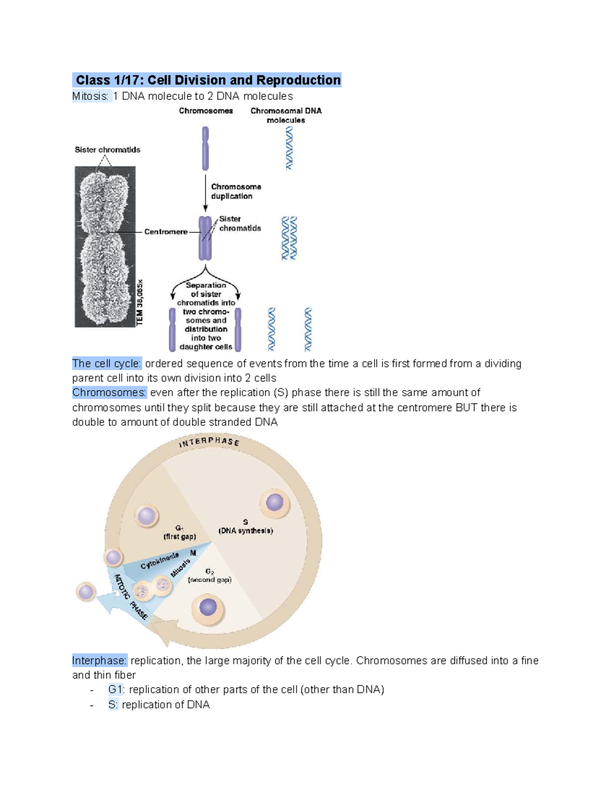 Genetics (BIO 101) Lecture Notes: Cell Division, Mitosis, and ...