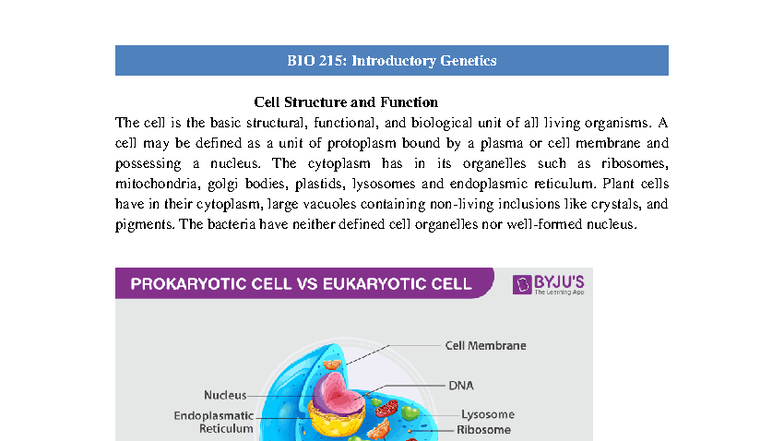 BIO 215: Introductory Genetics - Cell Structure & Function Overview ...