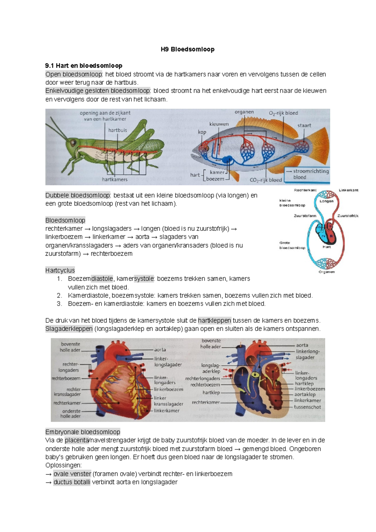 BIO H9 Bloedsomloop - Hart, Bloeddruk, en Transport van Stoffen ...