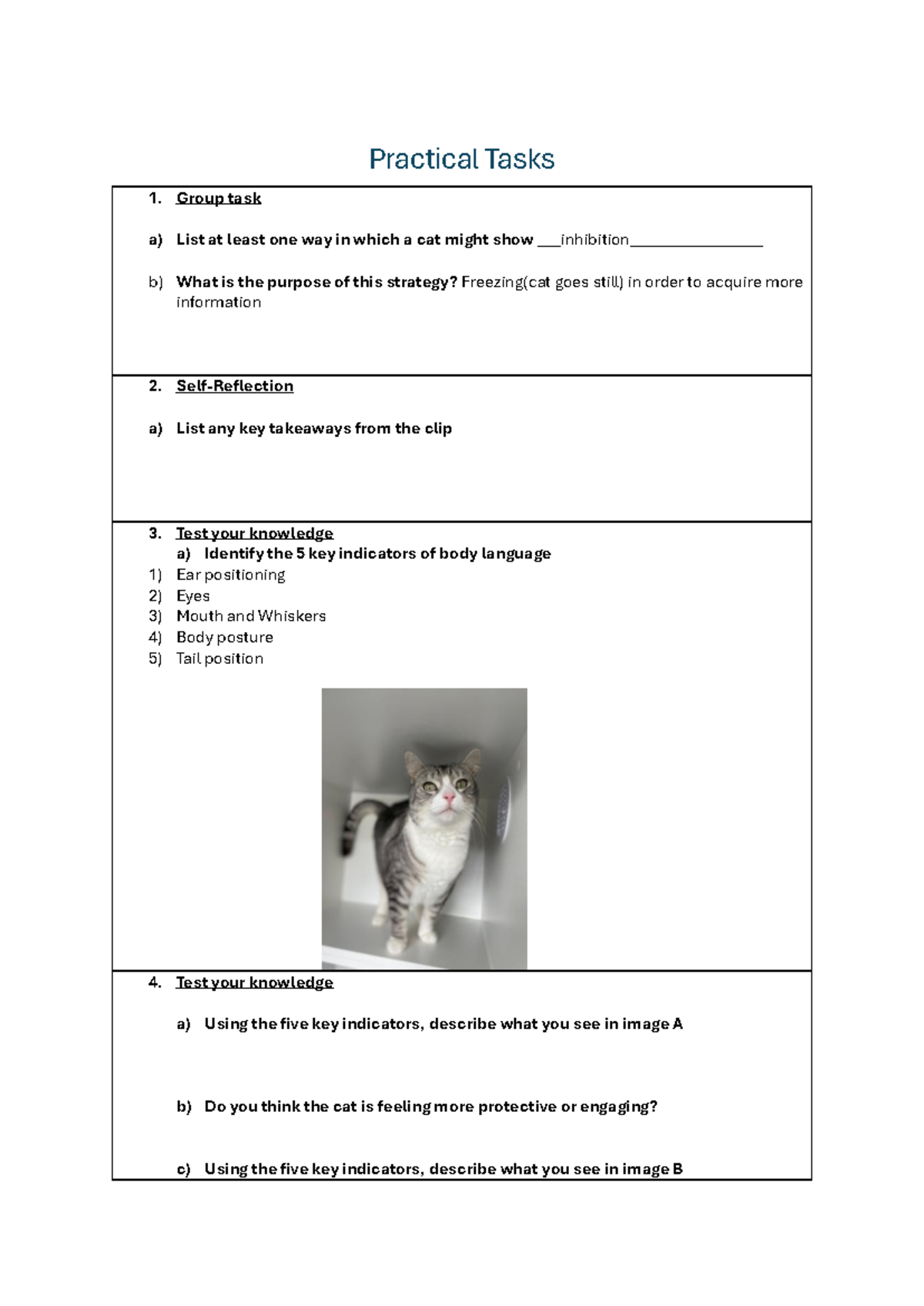 USYD RSPCA Practical Tasks Worksheet: Understanding Cat Behavior - Studocu