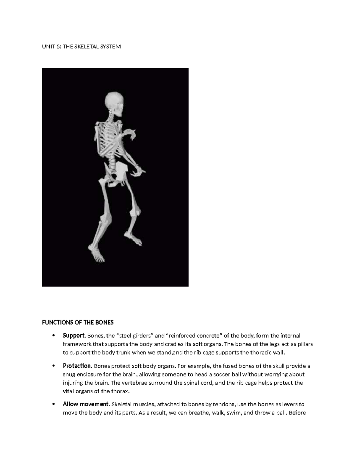 UNIT 5: SKELETAL SYSTEM FUNCTIONS & CLASSIFICATION - NURSING - Studocu