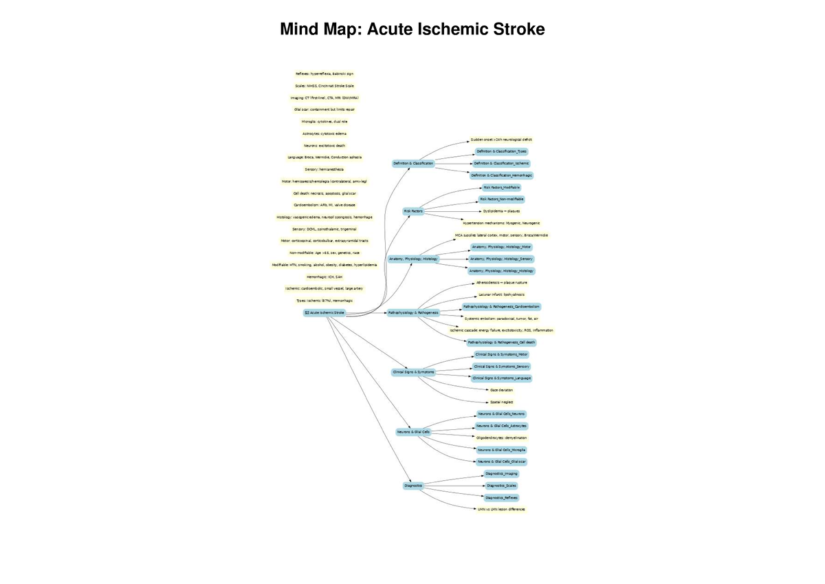Ischemic Stroke Mind Map A3: Clinical Signs & Risk Factors - Studocu