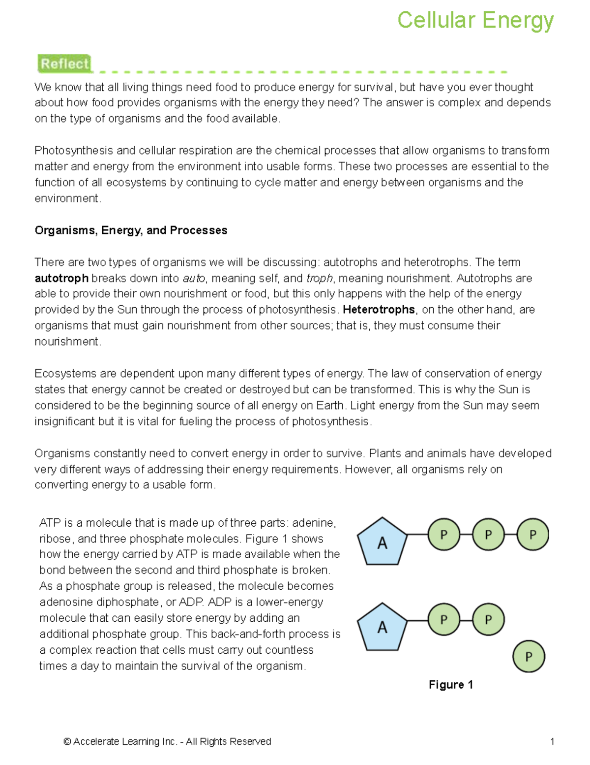 Cellular Energy Processes: Photosynthesis & Respiration Explained - Studocu
