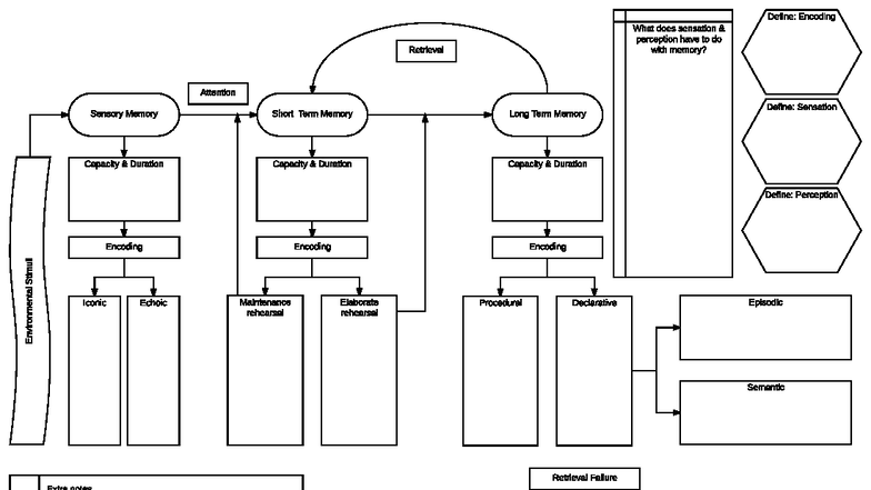 Memory Flow Chart: Encoding, Sensation, and Perception Explained - Studocu