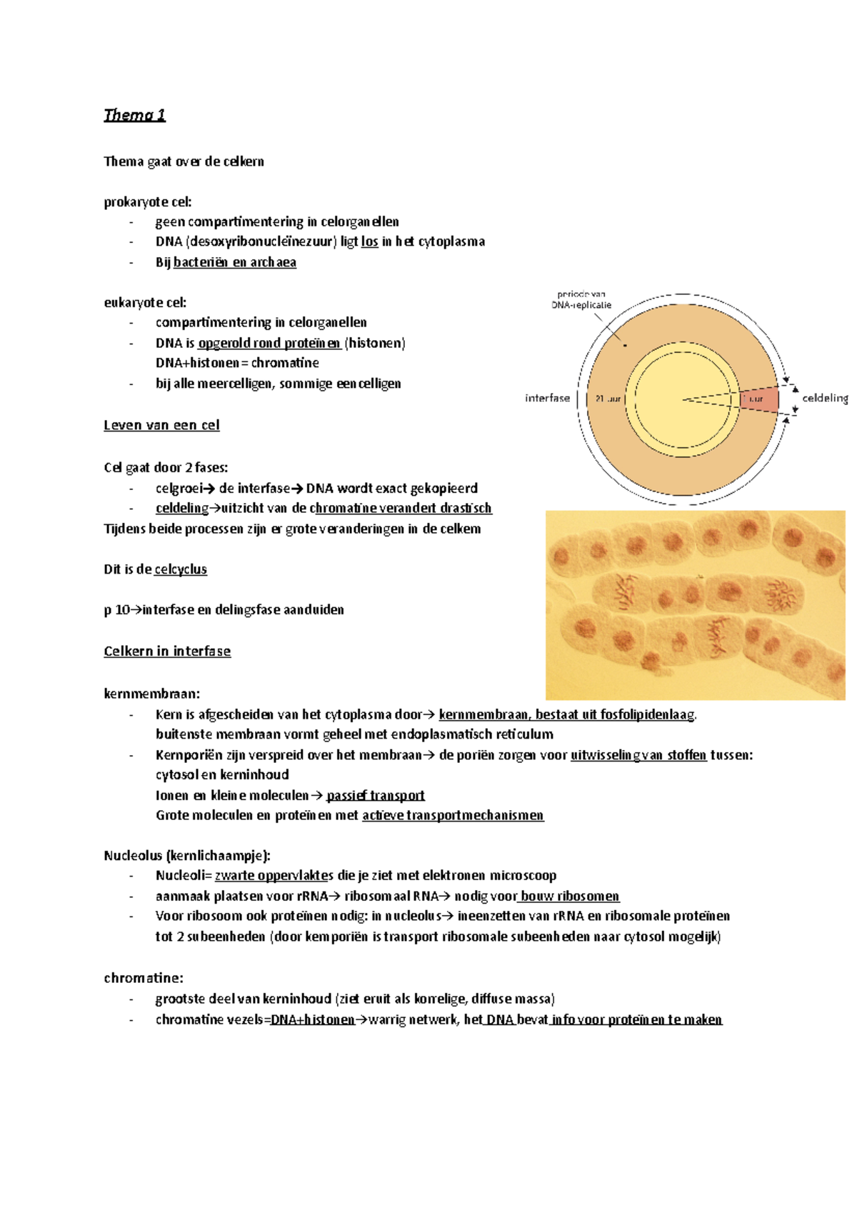 SV Biologie - Thema's over Celstructuur en Celdeling in Semester 1 ...