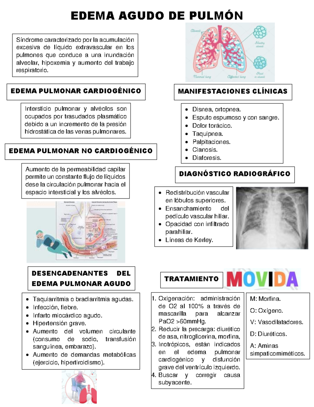 Infografía de Edema agudo de pulmón - Cruz Martínez Luis Eduardo - EDEMA AGUDO DE PULMÓN ...