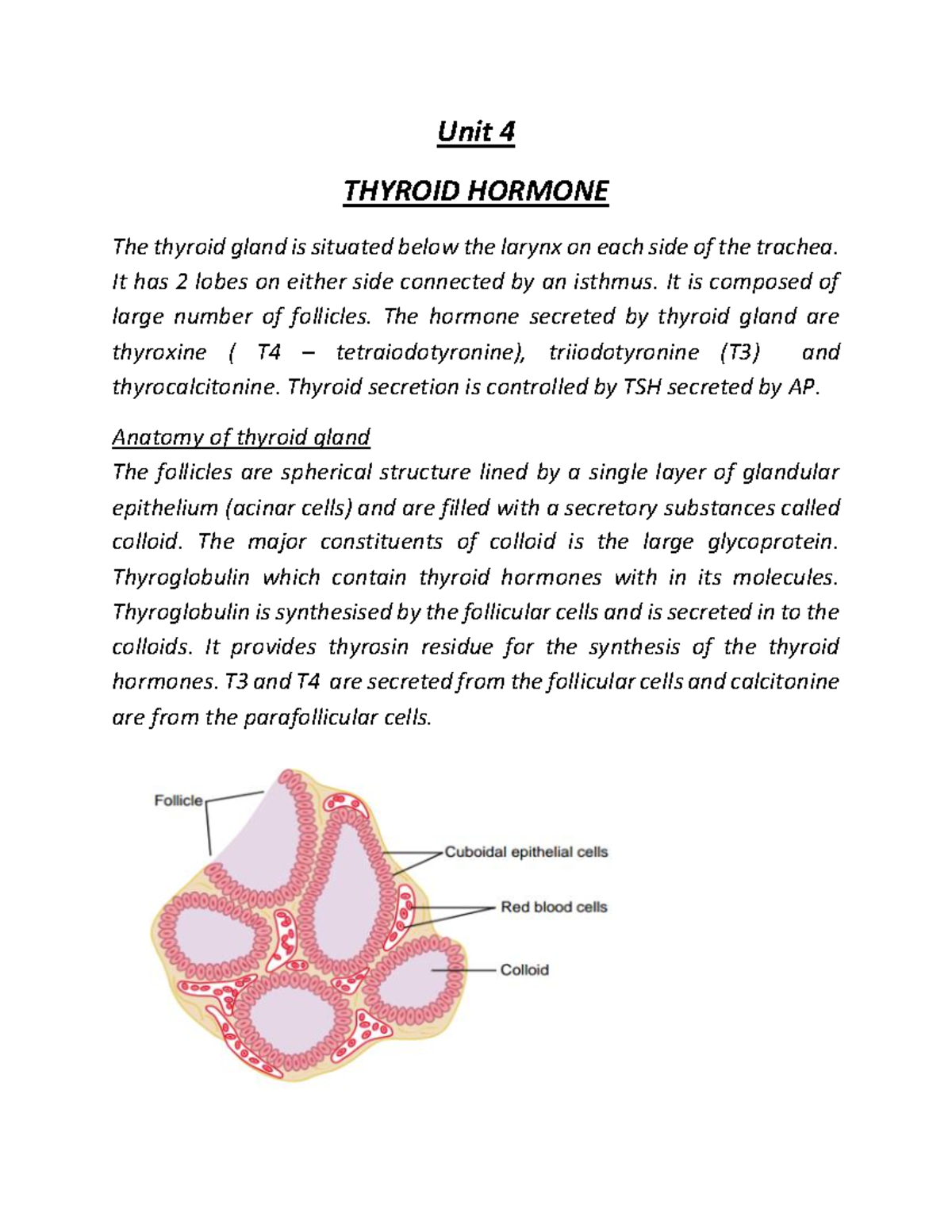 Thyroid Hormone Overview - Unit 4 Notes for BIO 101 - Studocu