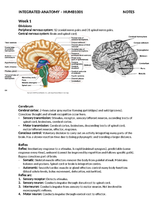 [Solved] give me practice test quiz on urinary system - Integrated ...