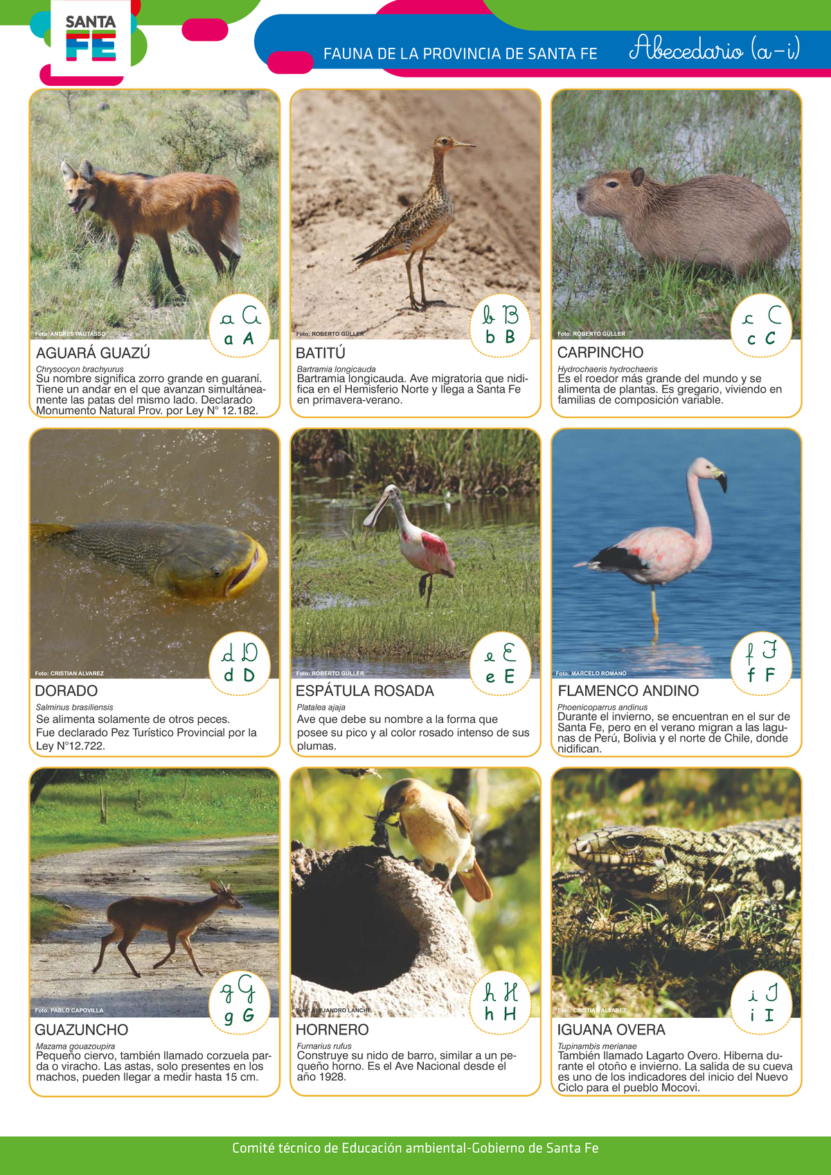 Fauna de Santa Fe: Abecedario de Especies y Datos Clave - Studocu