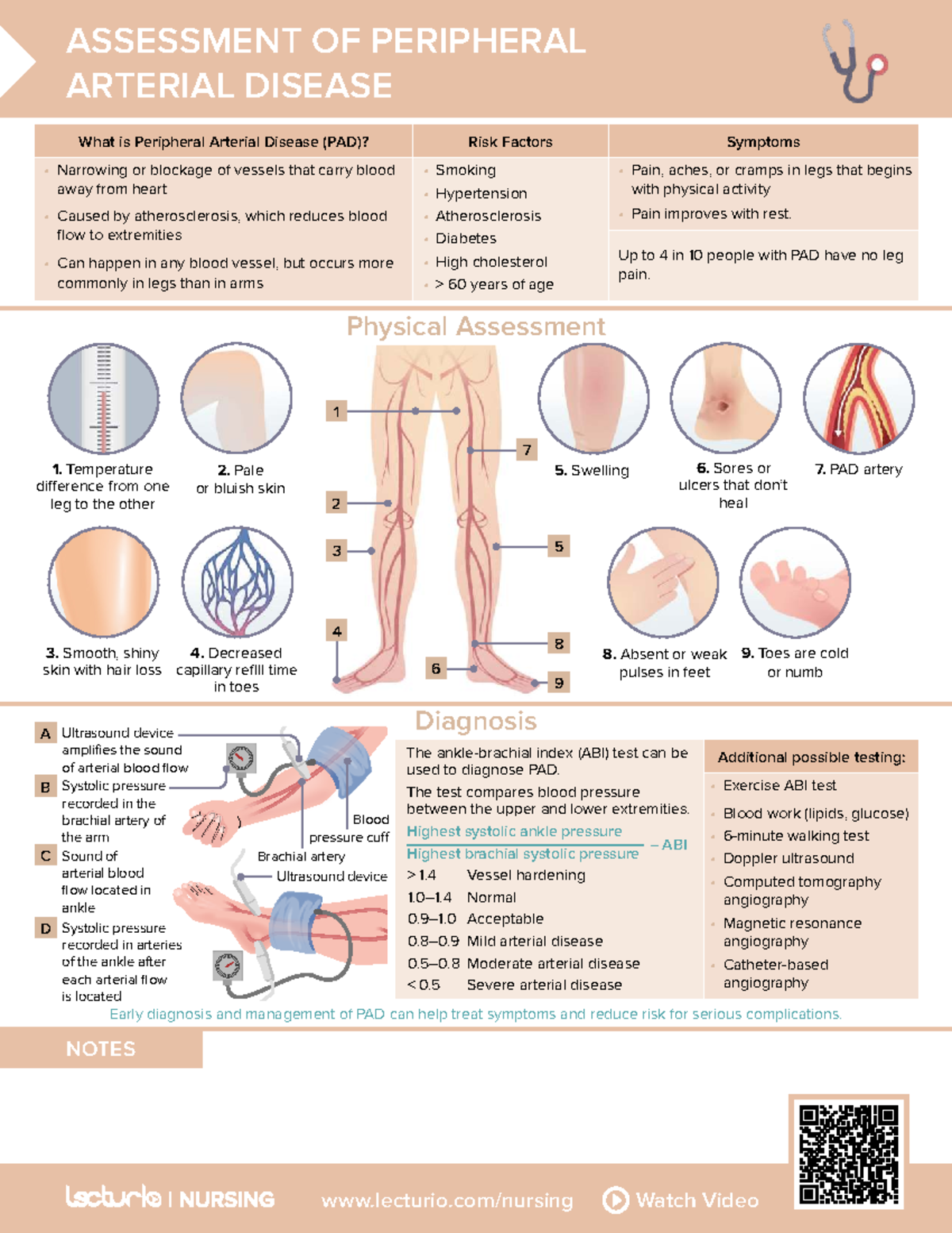 Assessment of Peripheral Arterial Disease (PAD): Risk Factors ...