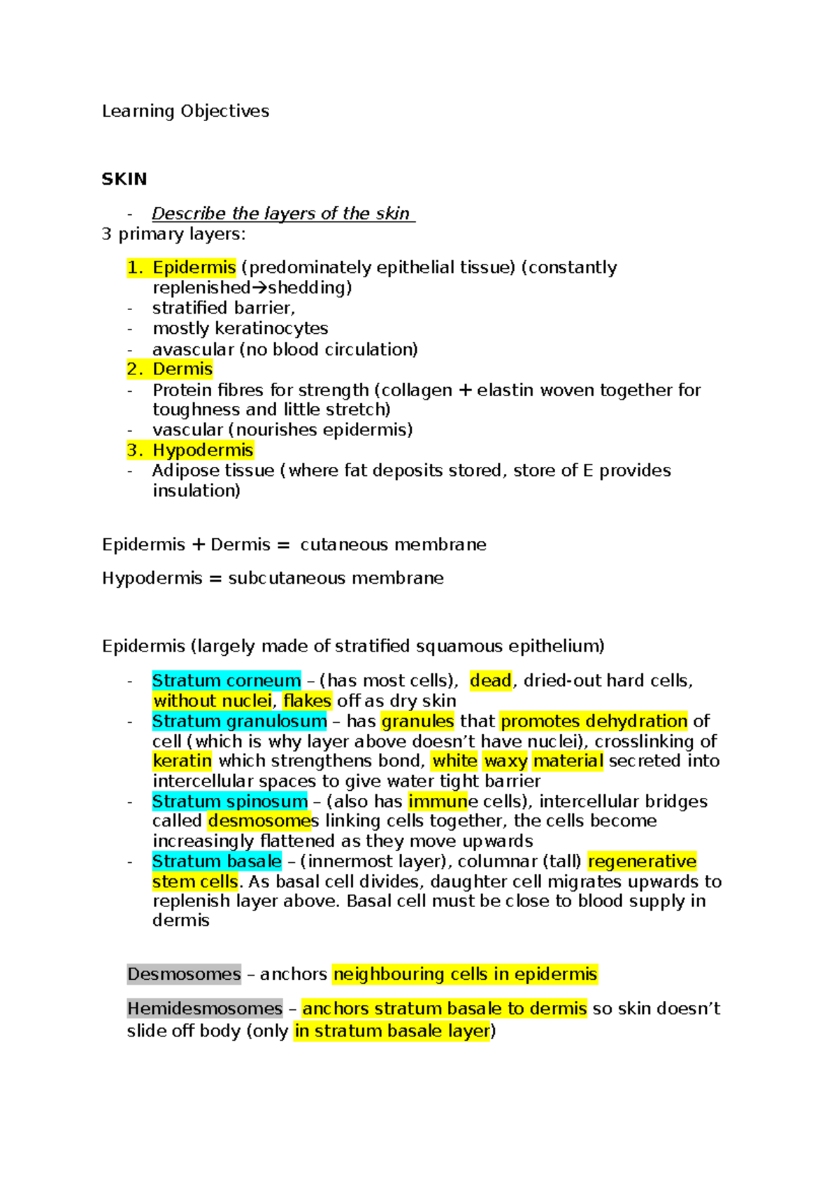 HUBS 192 Learning Objectives: Skin and Cardiovascular System Overview ...