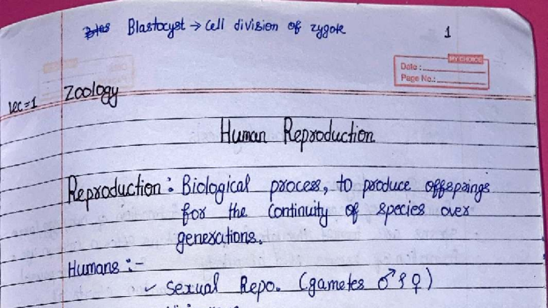 Human Reproduction - Class 12 Biology Notes (Zoology 22XX) - Studocu
