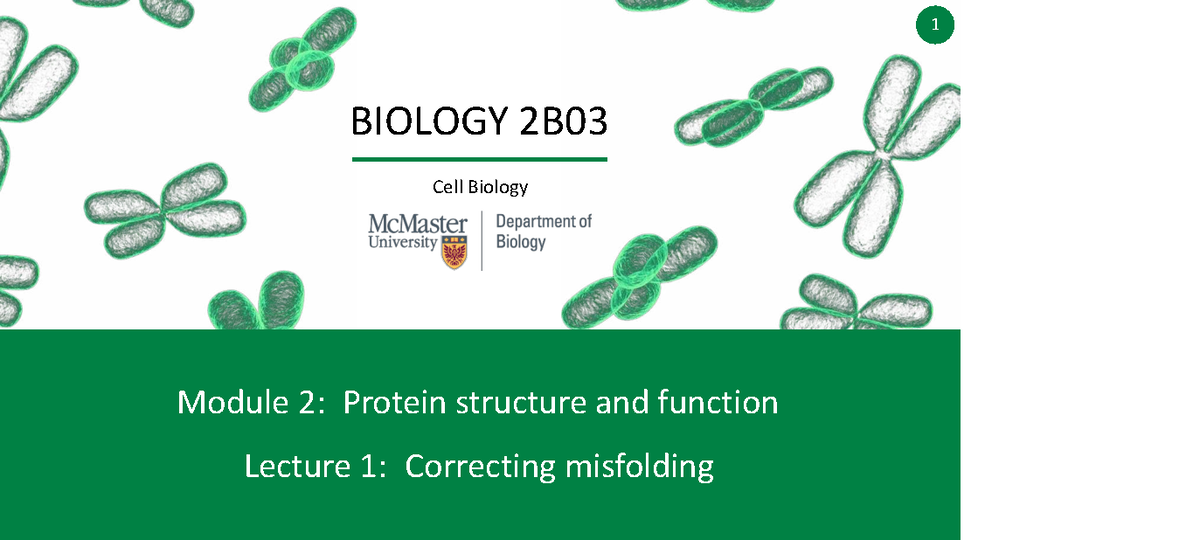 BIO2B03 Cell Biology Module 2: Protein Structure & Function Notes - Studocu