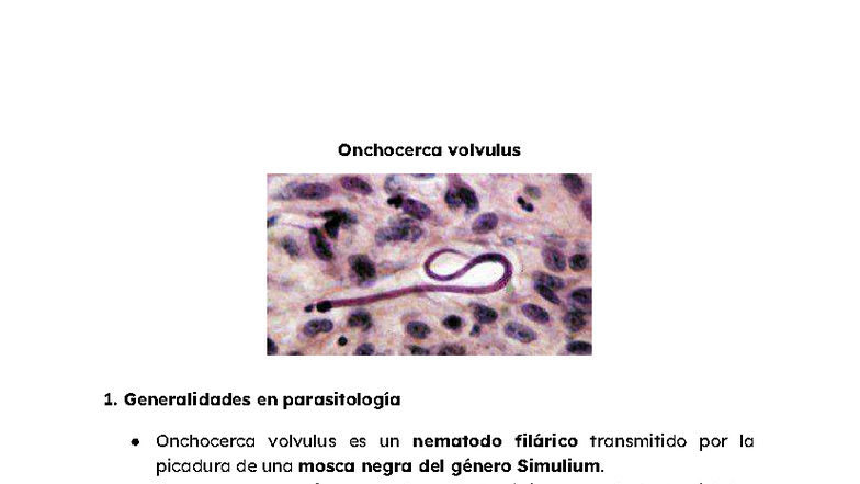 Onchocerca volvulus - Apuntes - Onchocerca volvulus Generalidades en ...