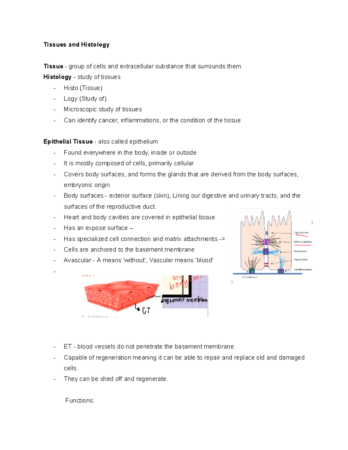 (Gen Zoo) Tissues and Histology - Tissues and Histology Tissue - group ...