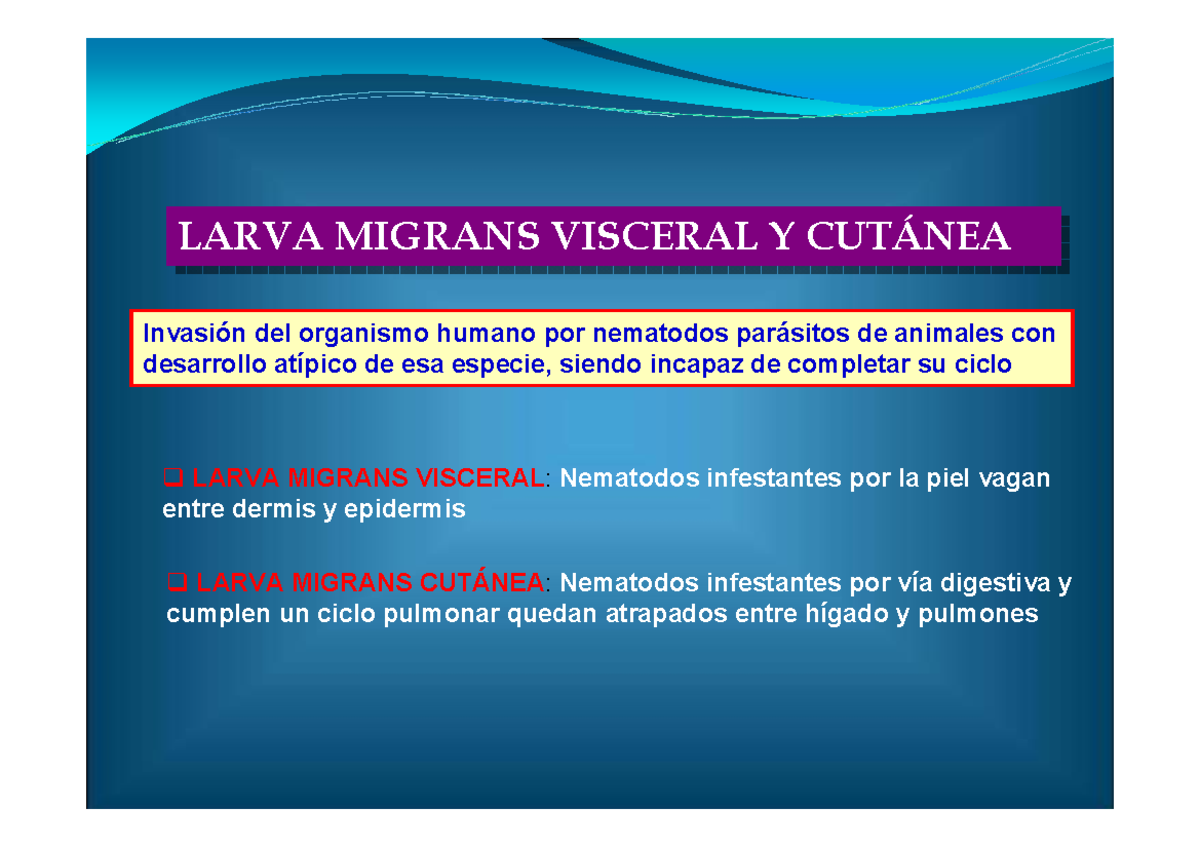 Larva Migrans Visceral y Cutánea: Diagnóstico y Tratamiento - Studocu