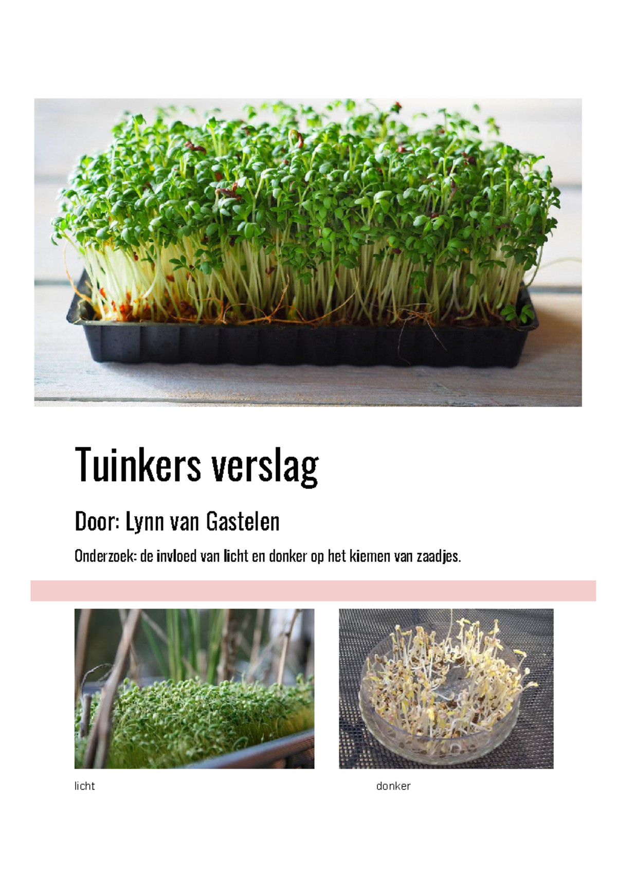 Tuinkers Verslag: Invloed van Licht en Donker op Kieming - Studeersnel
