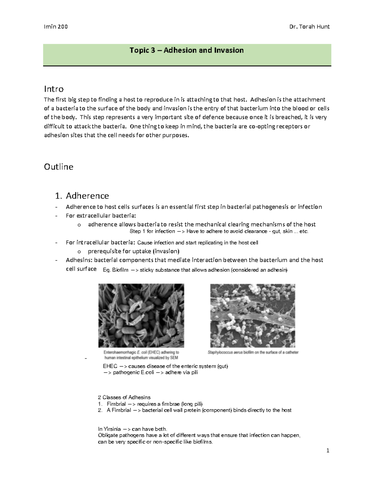 Topic 3 - Adhesion & Invasion in Bacterial Pathogenesis - Studocu