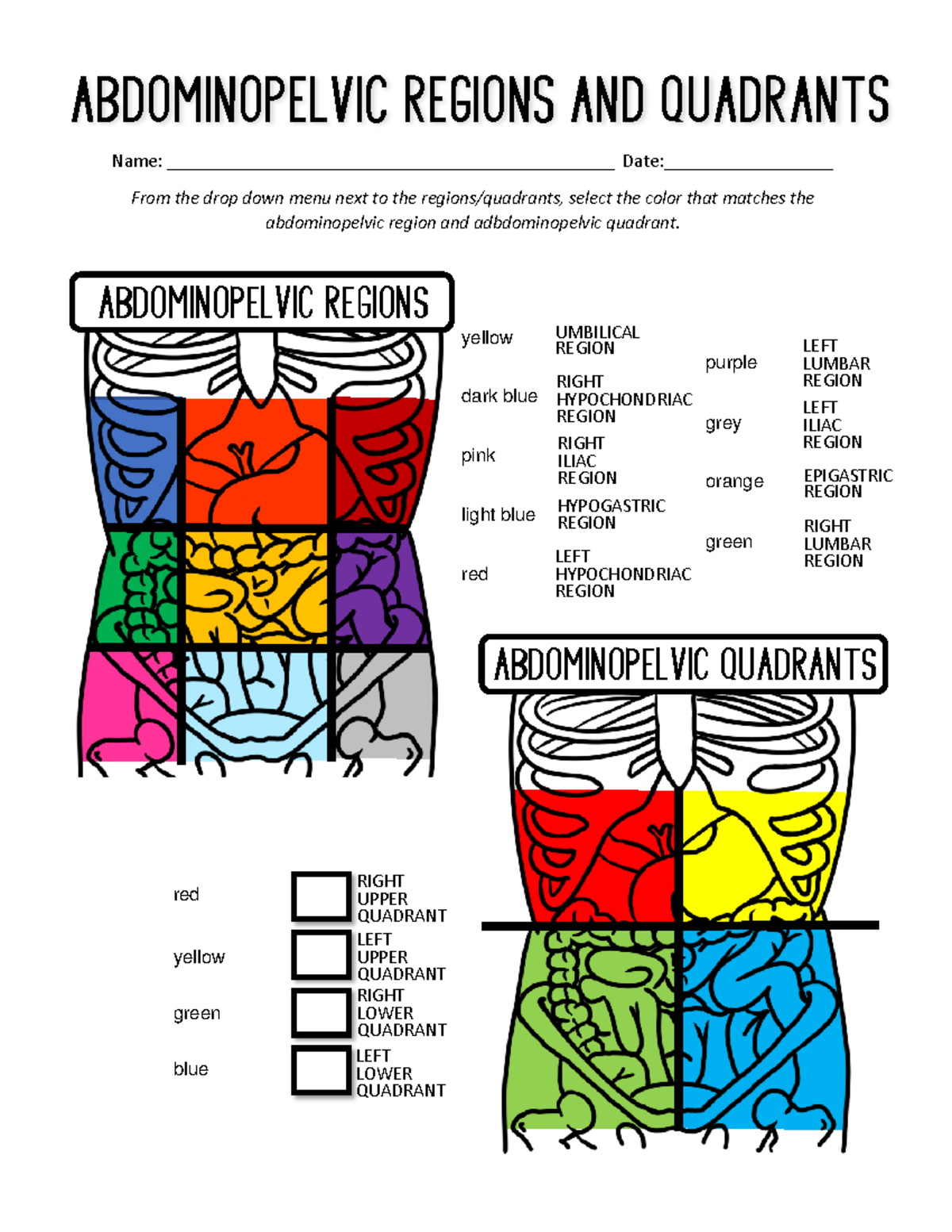 Abdominal Quadrants And Organs Emt