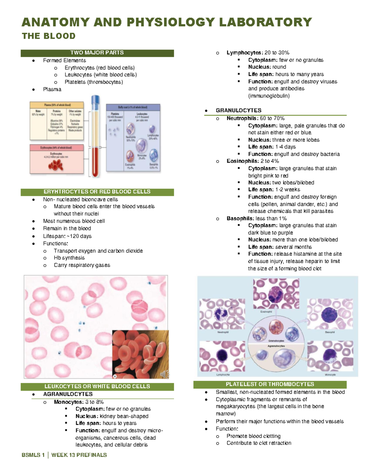 BSMLS 1 │ Anaphy Lab Notes on Blood Components and Functions - Studocu