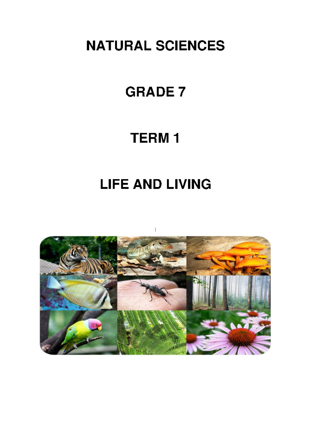 Natural Sciences Grade 7 Term 1 Study Guide: Life and Living Topics ...