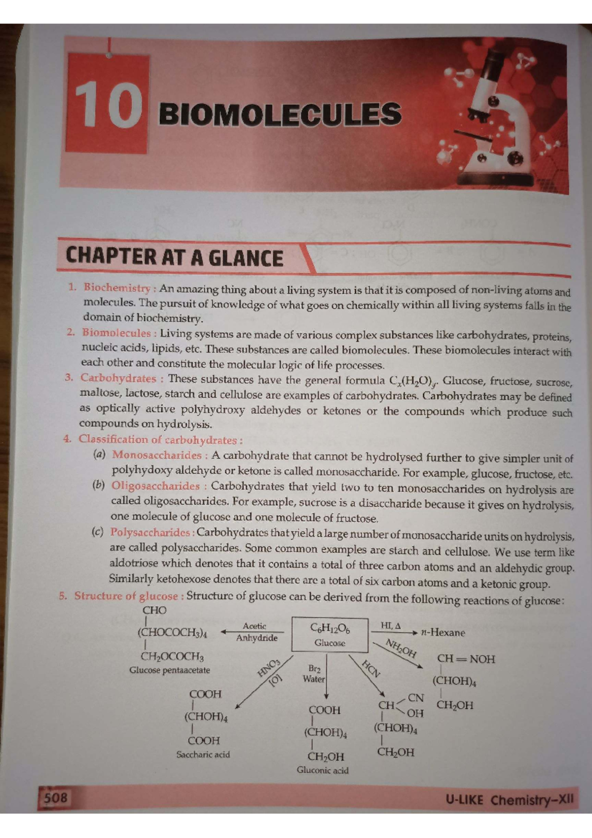 Biomolecules Overview: Class 12 Ulike Chapter Insights - Studocu