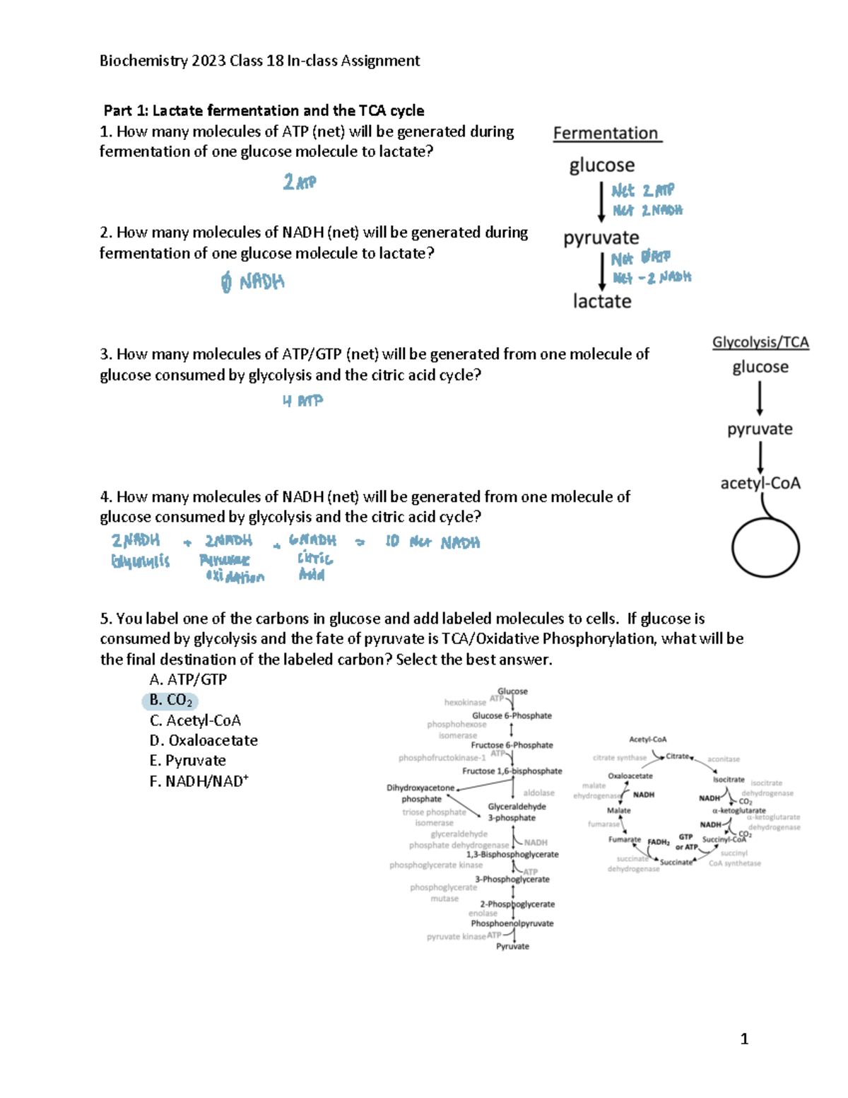 Biochem Assn 4-6 - In Class Work Tifft - Biochemistry 2023 Class 18 In-class Assignment 1 Part 1 ...