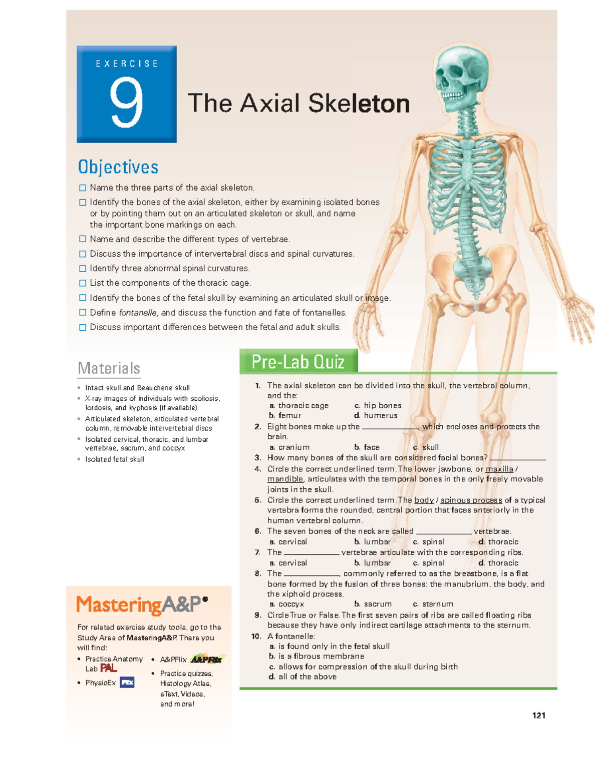 Marieb lab manual exercise 9 SKELETAL SYSTEM - EXERCISE 9 The Axial ...