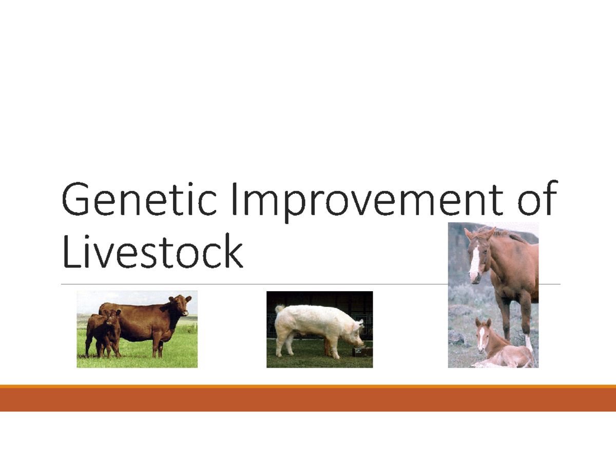 Genetic Improvement of Livestock: SNPs & Traits Overview - Studocu
