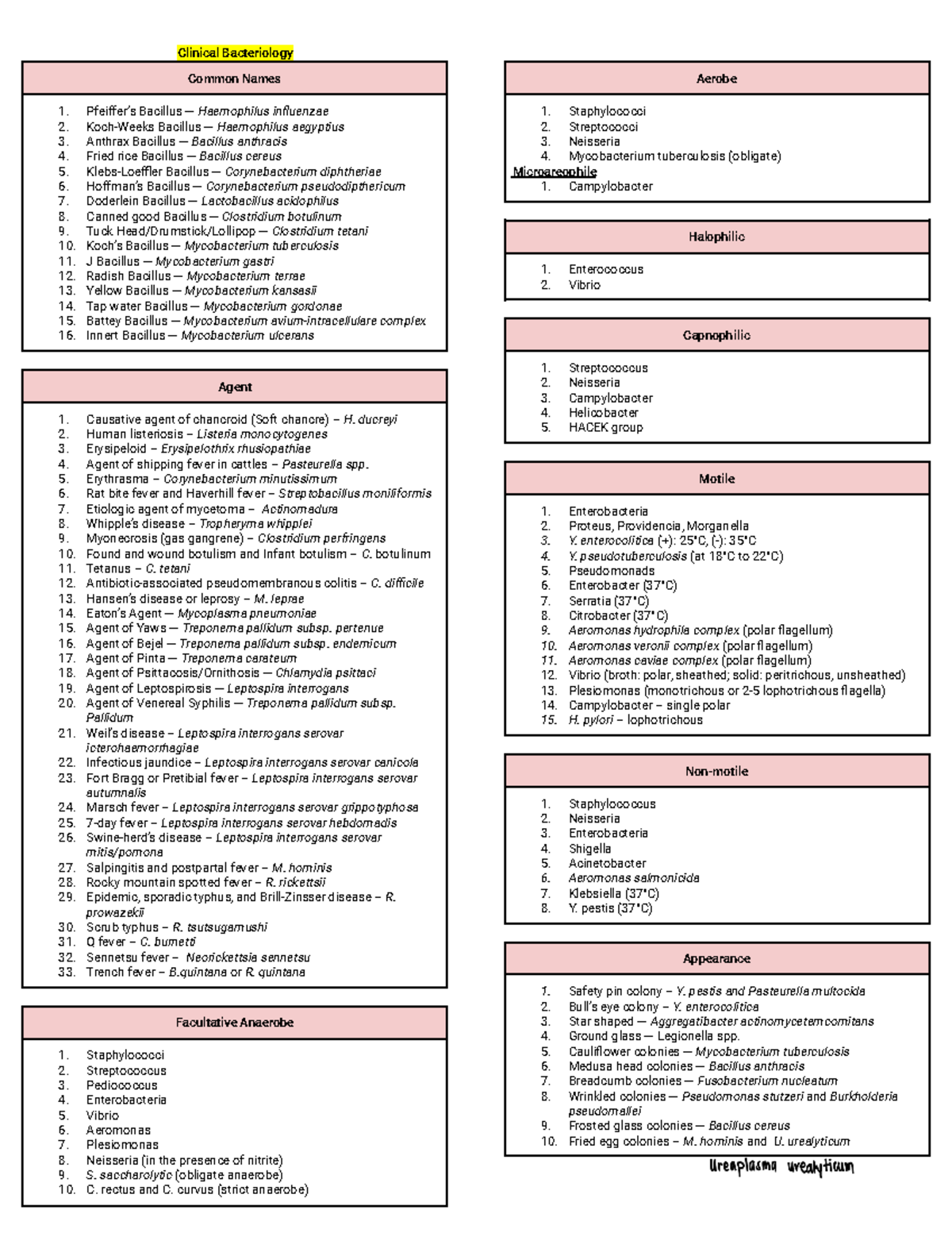 BACT-Finals - bacteriology notes - Clinical Bacteriology Common Names ...