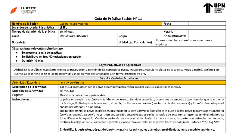 EF1 - Guía de Práctica Sesión 11: Estructura y Función de la Pelvis y Periné - Studocu