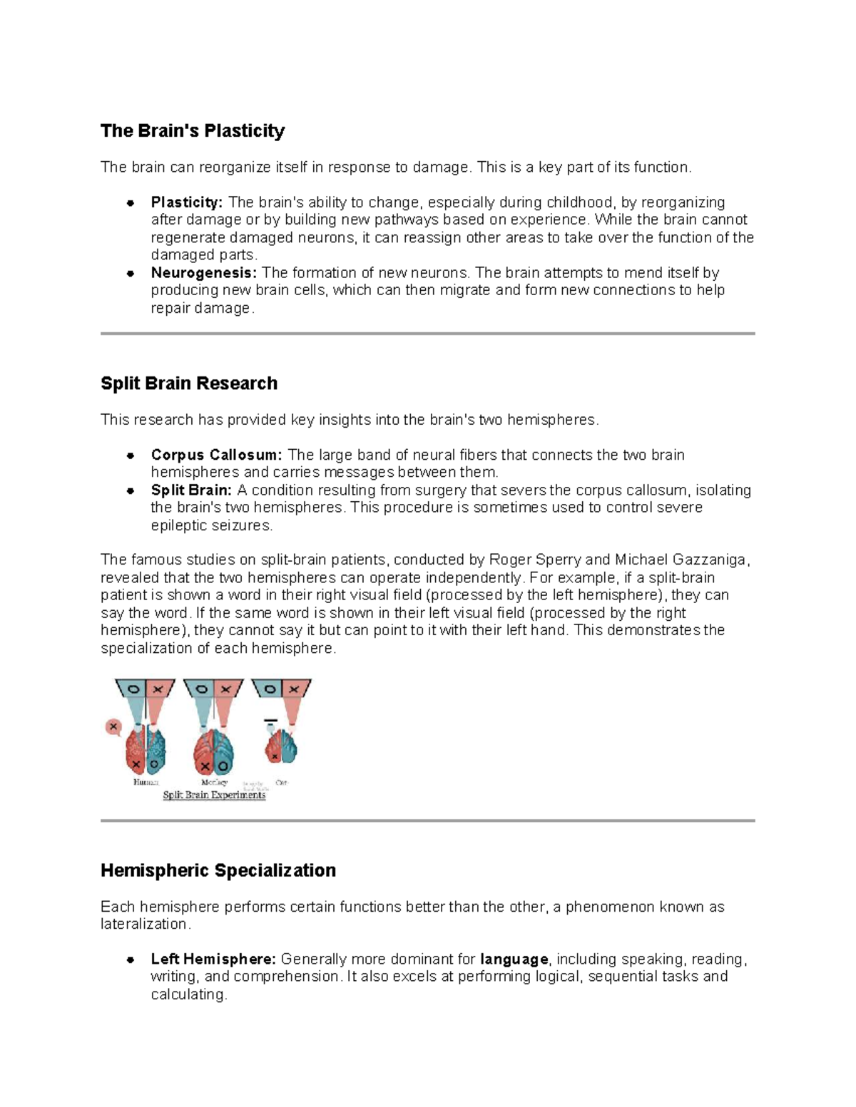 Notes 6: Brain Plasticity and Hemispheric Specialization - Studocu