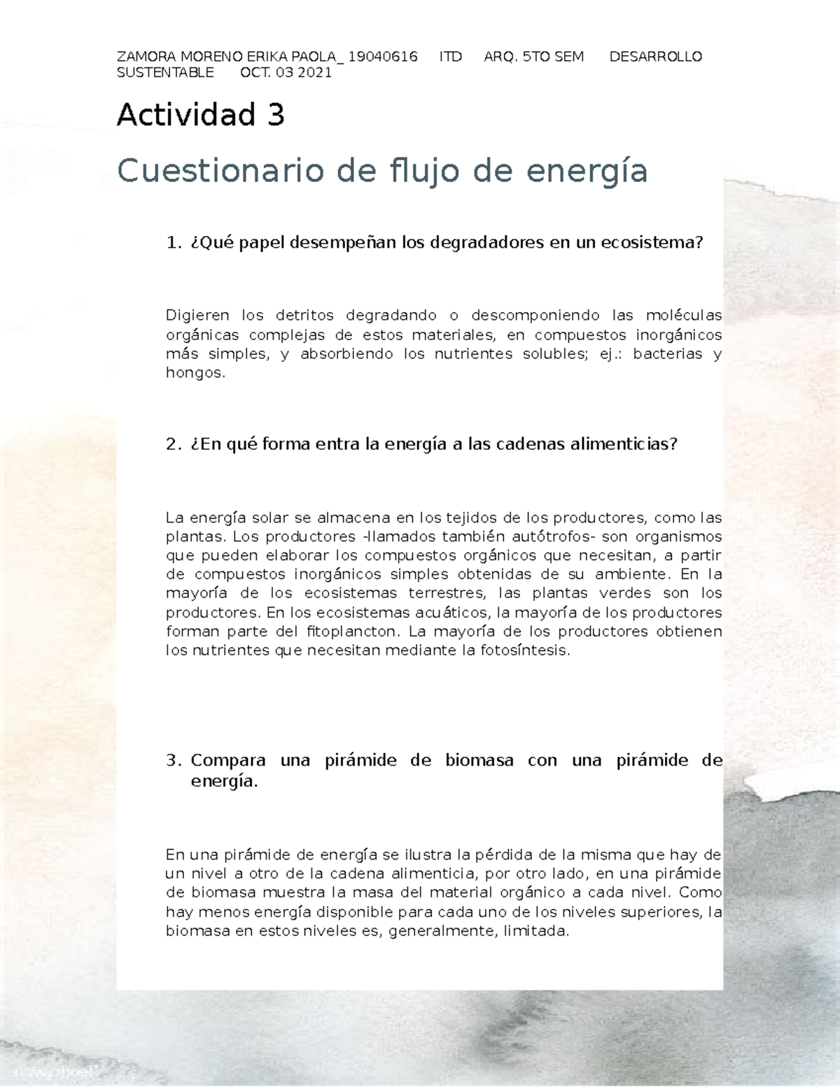 Cuestionario de Flujo de Energía - Tarea 3 19040616 - Studocu