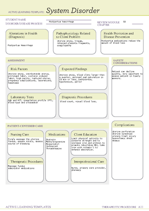 Home Safety Fall Prevention Basic Concept Map - ACTIVE LEARNING ...