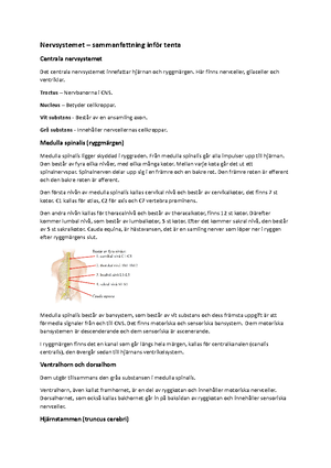 [Solved] olika typer av sensoriska receptorer - Anatomi och fysiologi ...