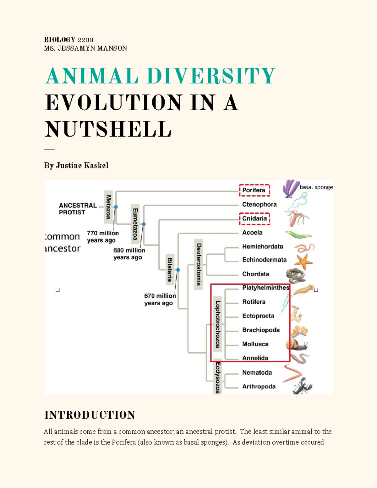 Animal Diversity: Unit 2 BIOL 2200 - 2200 MS. JESSAMYN MANSON ANIMAL ...