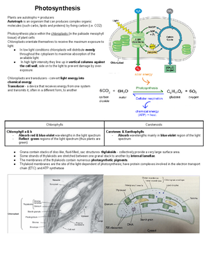 Lesson 4: HTML, CSS, and JavaScript Overview - bkology - Studocu