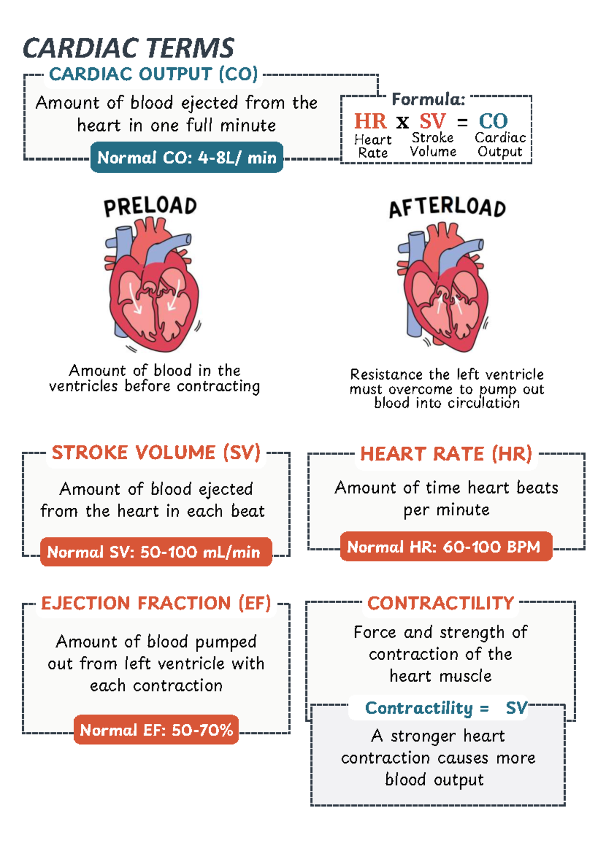 Cardiac Study Guide: Key Concepts in Heart Function & Failure (CARDIAC ...