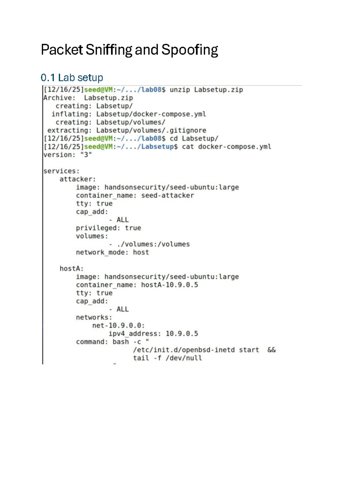 Packet Sniffing and Spoofing Lab (CS101) - Setup & Tasks - Studocu