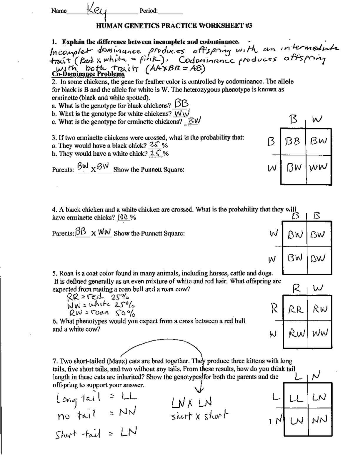 Human Genetics Practice WS incomplete, codominant, sex linked Answer ...
