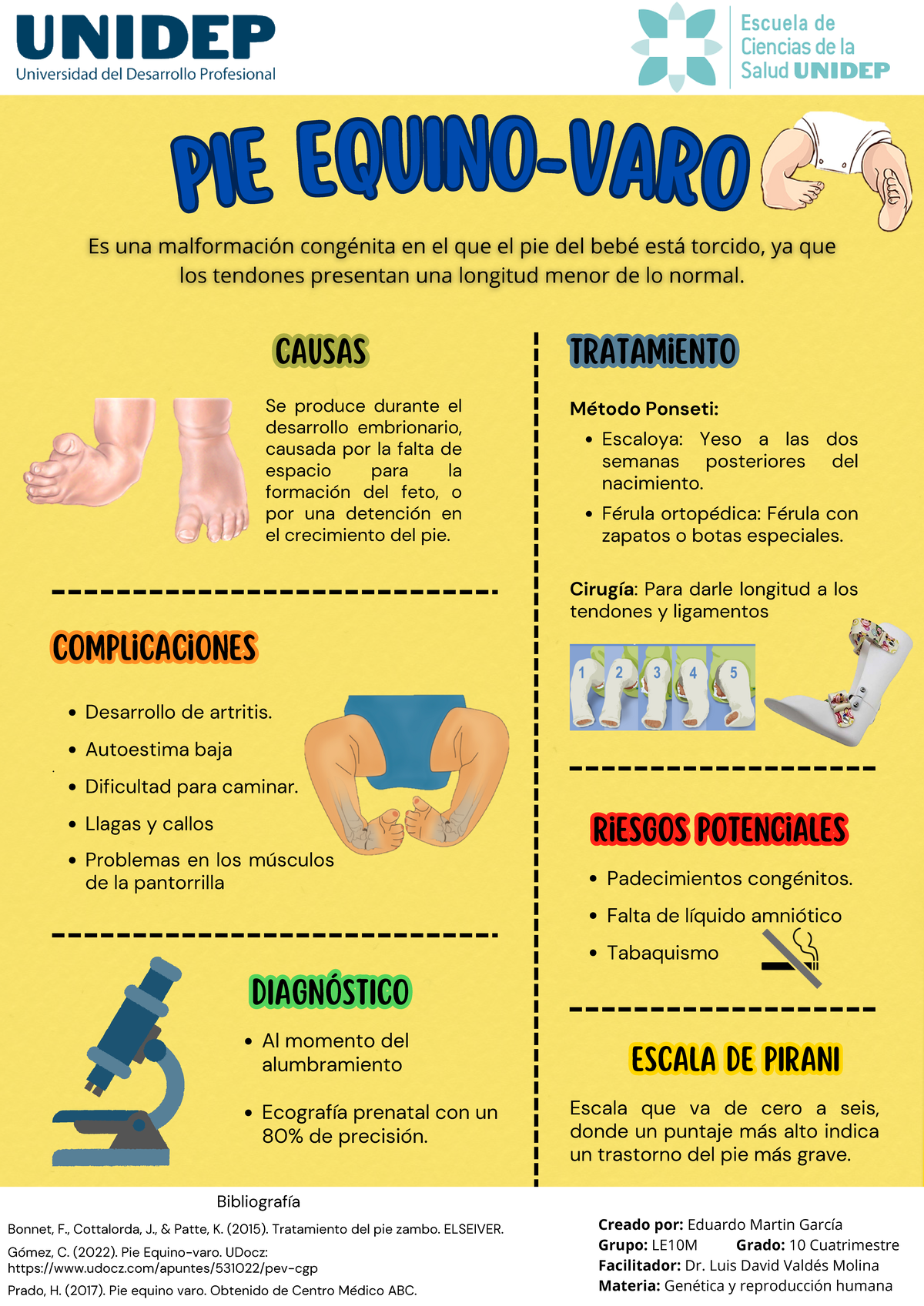PIE EQUINO-VARO: Causas, Diagnóstico y Tratamiento - Genética y ...